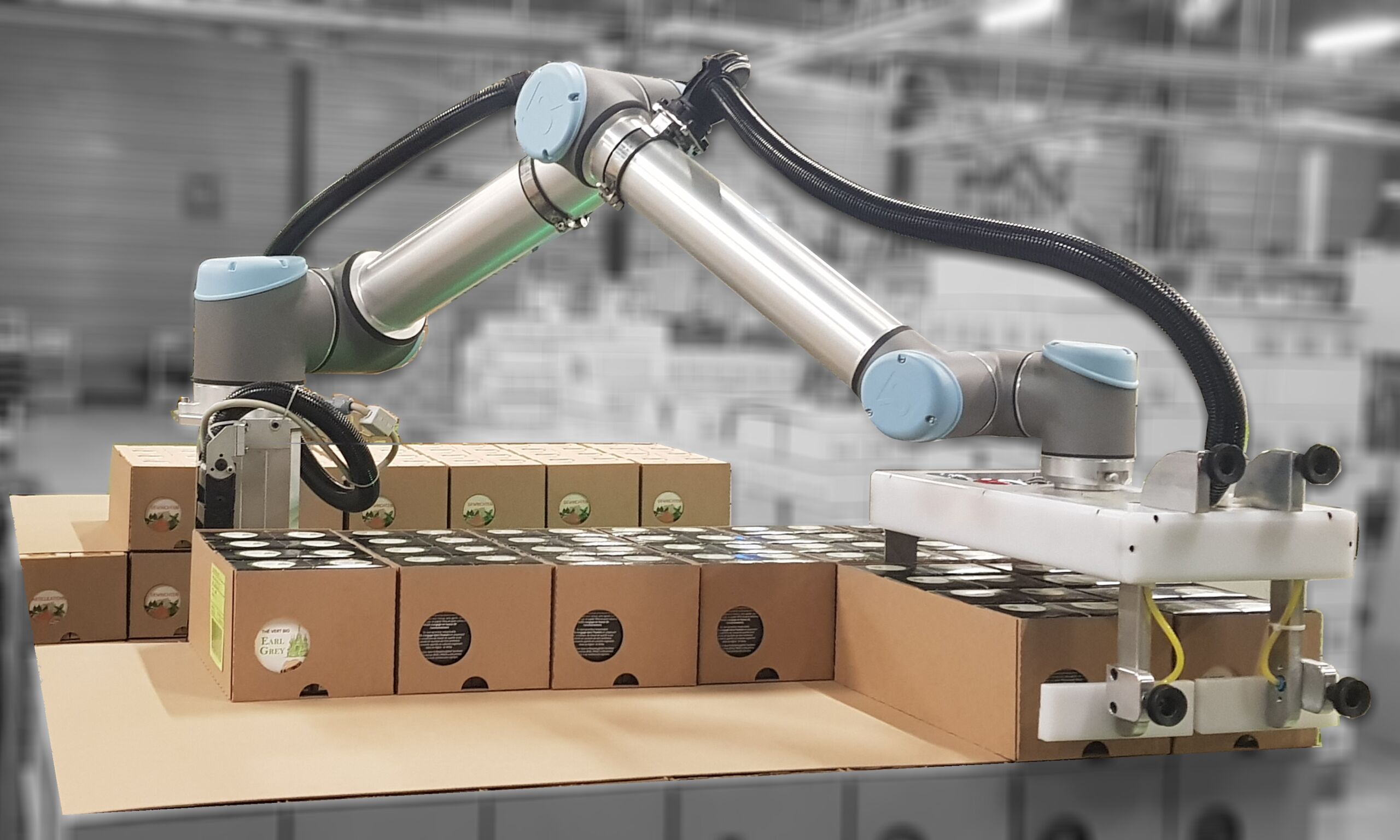 Réalisations cellules collaboratives - Axe Robotique & Automatisme